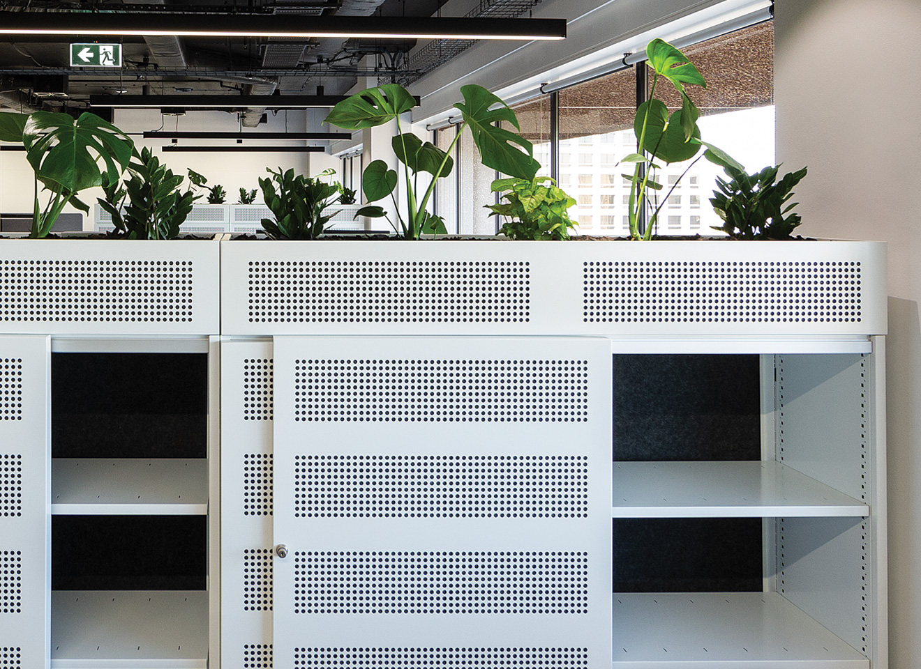 Sound Absorption Linea | Planex