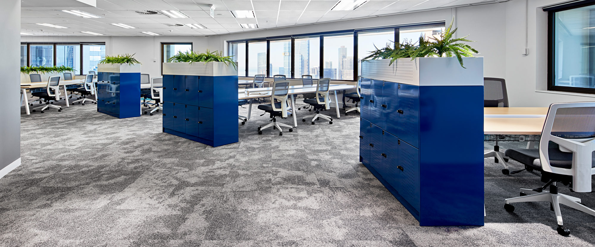 Dexus Spec Suite | Planex