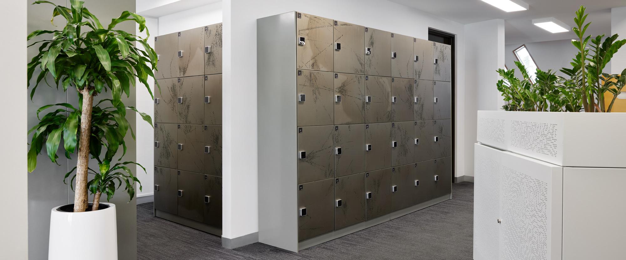 Port Phillip Council | Planex